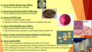 E. coli (Morphology, Growth Requirements and Genetics) | PPTX