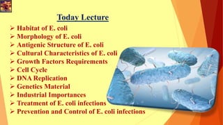 E. coli (Morphology, Growth Requirements and Genetics) | PPT
