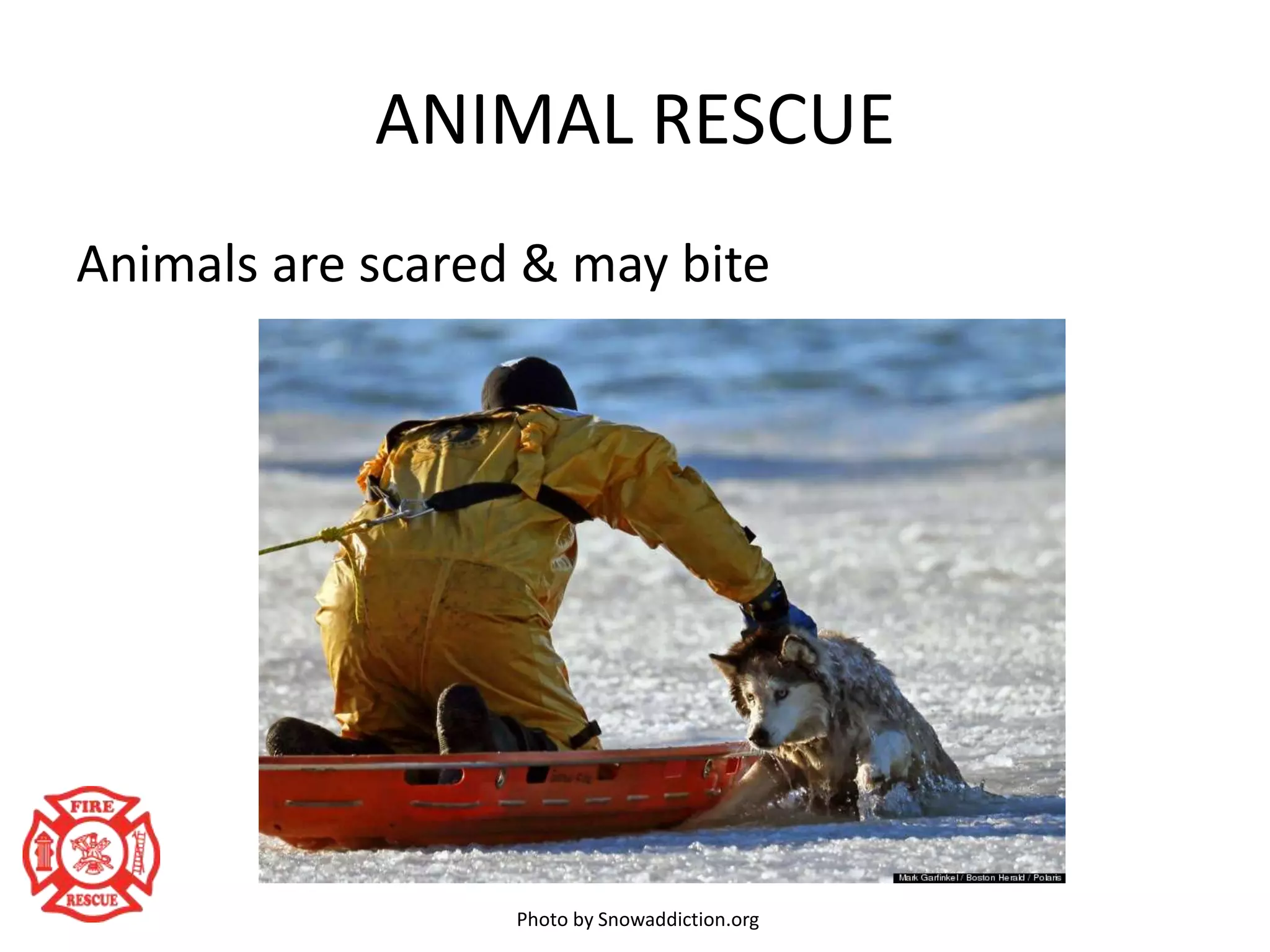 ICE RESCUE AWARENESS NFPA COMPLIANT | PPTX