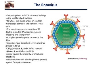 Rotavirus prevention and control | PPTX