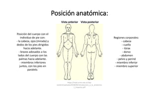 Curso Basico de Anatomía y Fisiología General.pdf