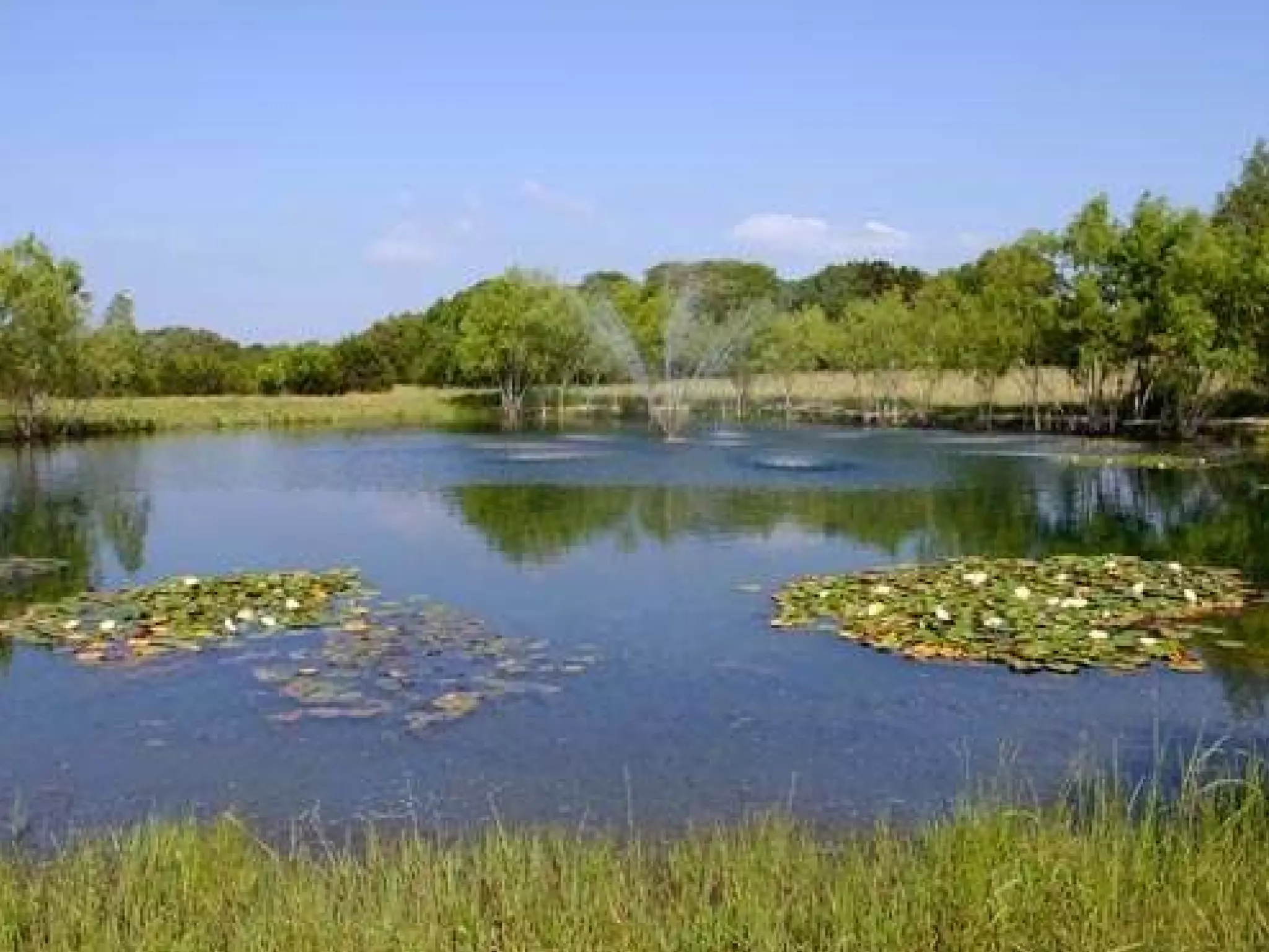 Jagadguru Kripalu Parishad - Barsana Dham | PPT