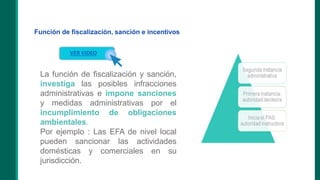 SINEFA - Sistema de Evaluación y Fiscalización Ambiental | PPTX