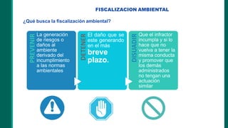 SINEFA - Sistema de Evaluación y Fiscalización Ambiental | PPTX