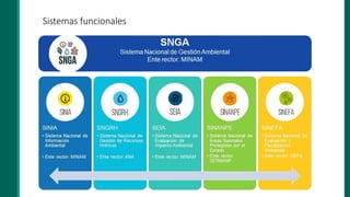 SINEFA - Sistema de Evaluación y Fiscalización Ambiental | PPTX