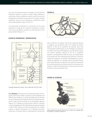 fisiologia respiratoria, medicina, anatomia y fisiologia | PDF