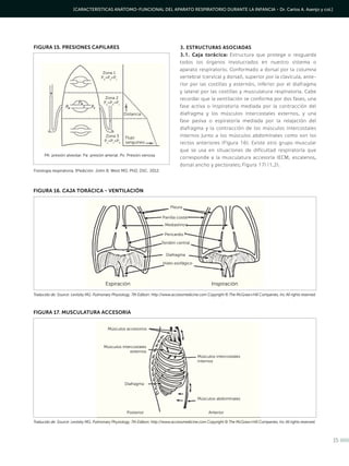 fisiologia respiratoria, medicina, anatomia y fisiologia | PDF
