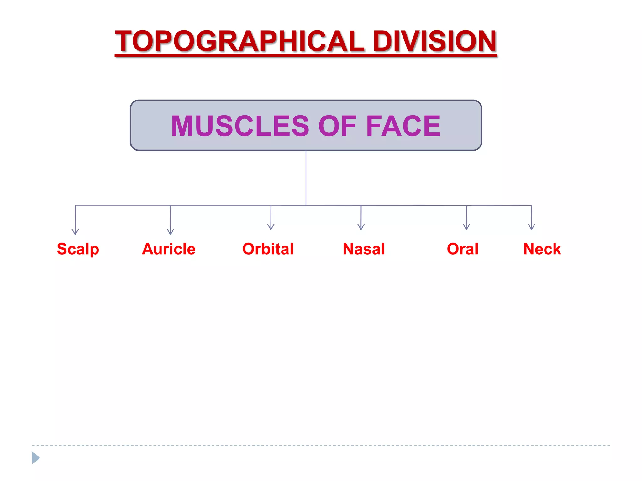 Anatomy of head and scalp.pptx