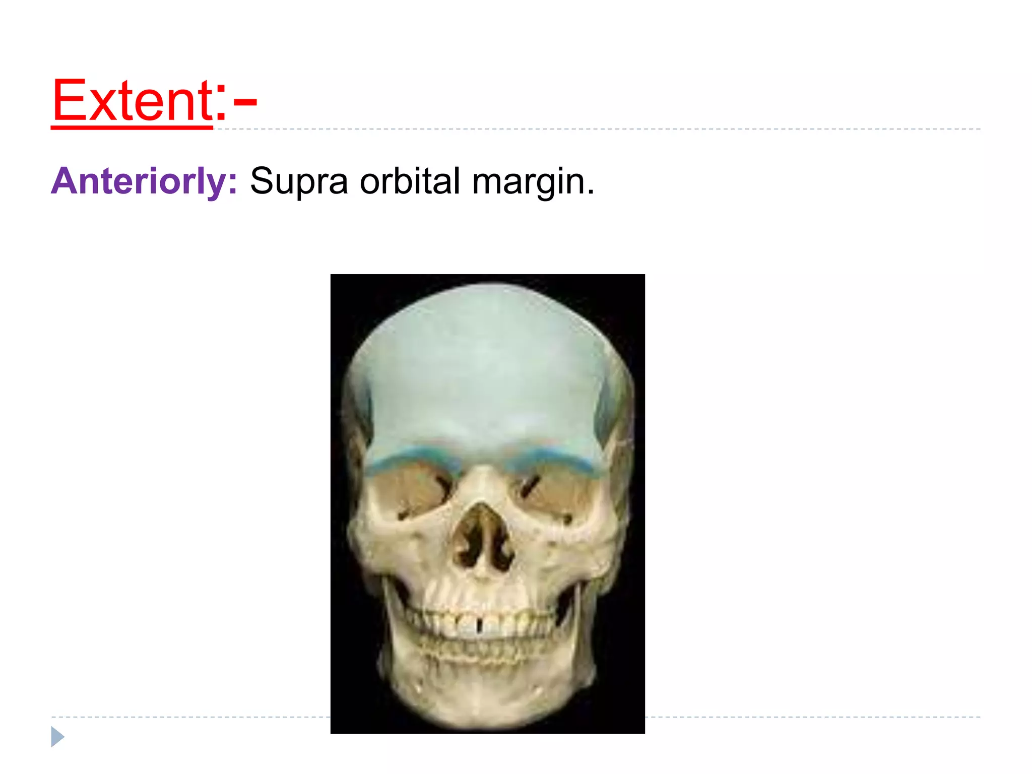 Anatomy of head and scalp.pptx