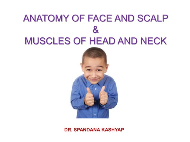 Anatomy of head and scalp.pptx