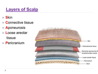 Anatomy of head and scalp.pptx