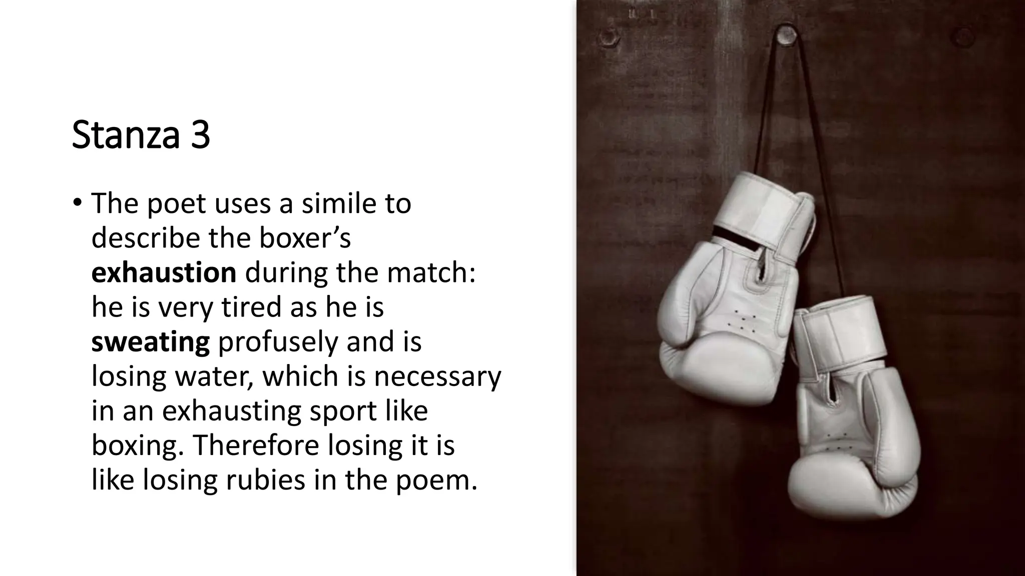 Poetry-unit-The-Boxer (poetry lesson ) | PPTX