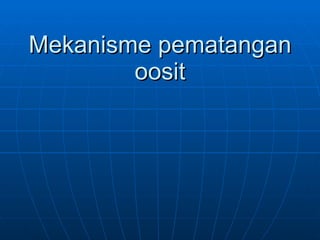 S1 w- pematangan oosit | PPT