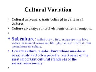 Culture | PPT
