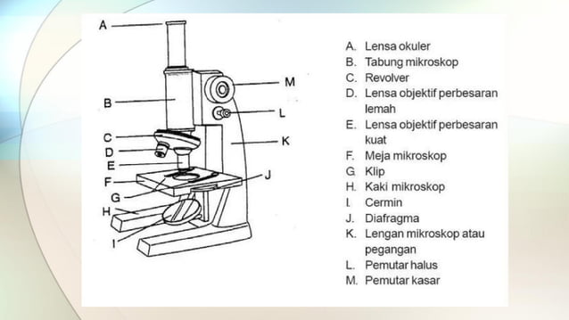 bagian-bagia Mikroskop berserta fungsinya.pptx