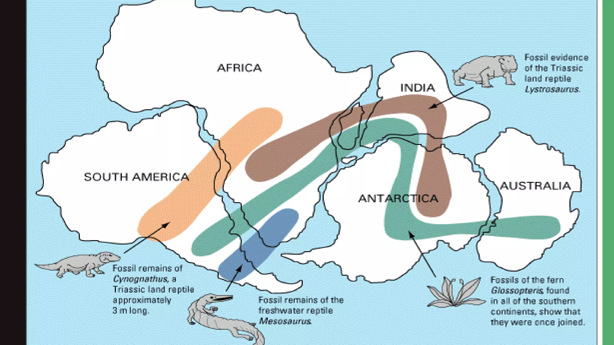 SCIENCE Grade 10: Continental Drift Theory | PDF