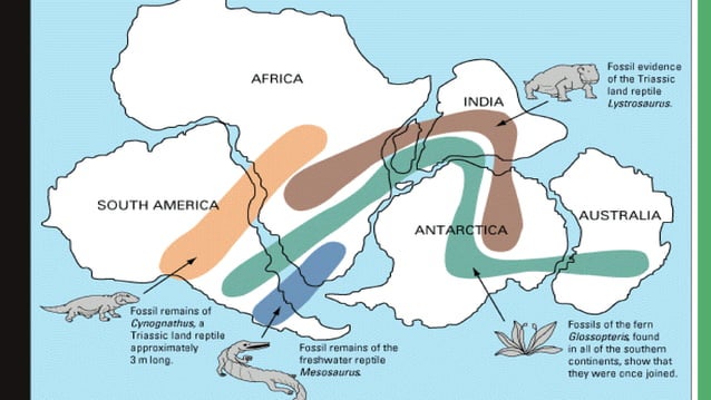 SCIENCE Grade 10: Continental Drift Theory | PDF
