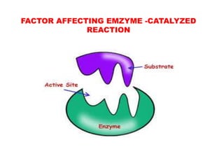 FACTOR AFFECTING ENZYME -CATALYZED REACTION | PPTX | Chemistry | Science