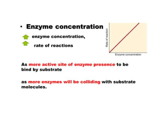 FACTOR AFFECTING ENZYME -CATALYZED REACTION | PPTX | Chemistry | Science