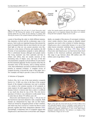 s12052-009-0117-4 (1).pdf | Reptiles | Pets