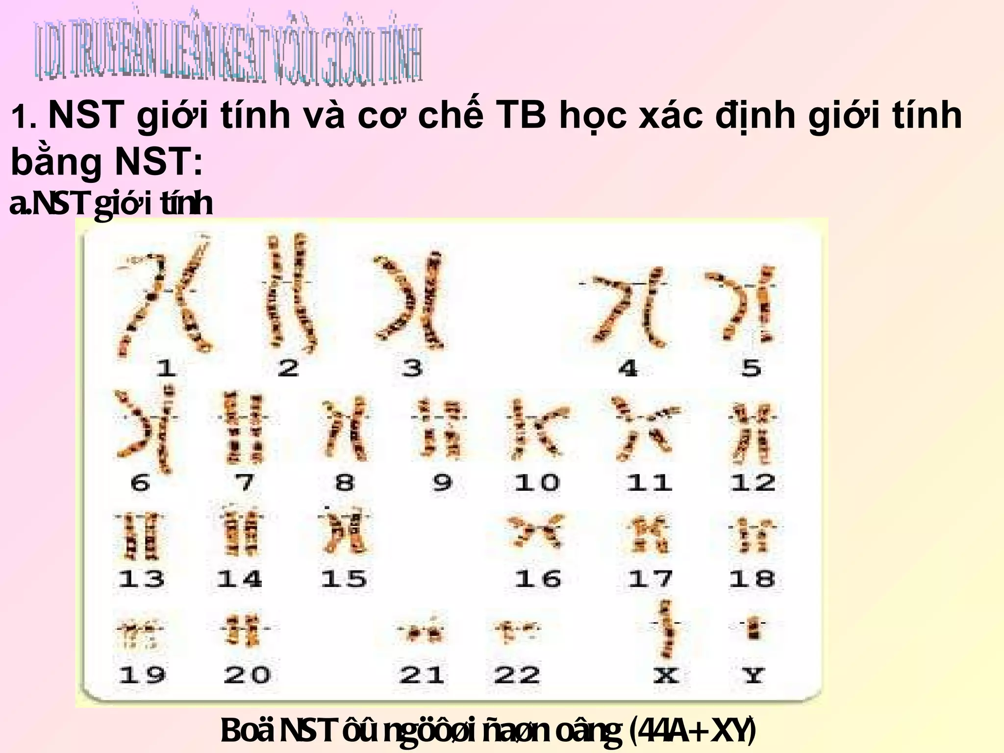 S12 bai 12 di truyen lien ket voi gioi tinh va di truyen ngoainhan | PPT