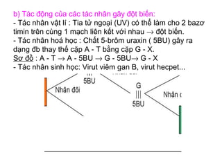 S12 bai 4 dot bien gen | PPT
