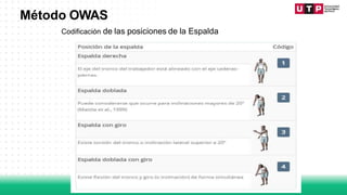 Método de Evaluación de Riesgo Ergonómico RULA y OWAS | PDF