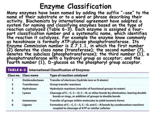 s15-miller-chap-6a-lecture.ppt millle=== | PPT