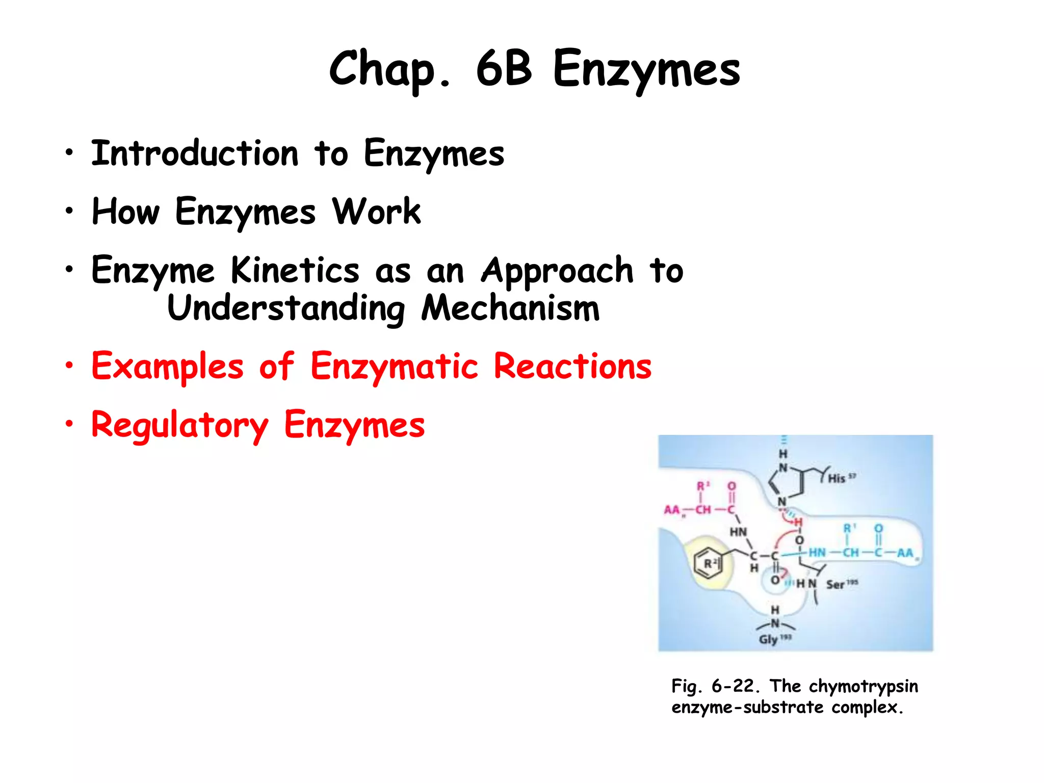 s15-miller-chap-6b-lecture.ppt