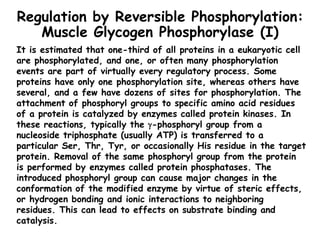 s15-miller-chap-6b-lecture.ppt
