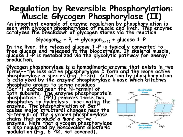 s15-miller-chap-6b-lecture.ppt