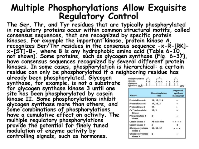 s15-miller-chap-6b-lecture.ppt