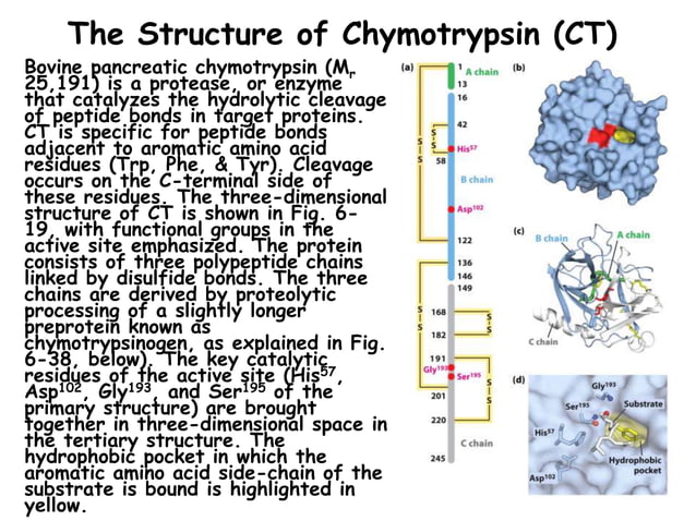 s15-miller-chap-6b-lecture.ppt