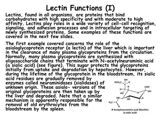 s15-miller-chap-7b-lecture.ppt | Chemistry | Science