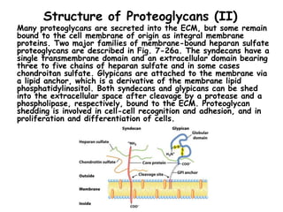 s15-miller-chap-7b-lecture.ppt