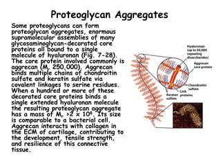 s15-miller-chap-7b-lecture.ppt
