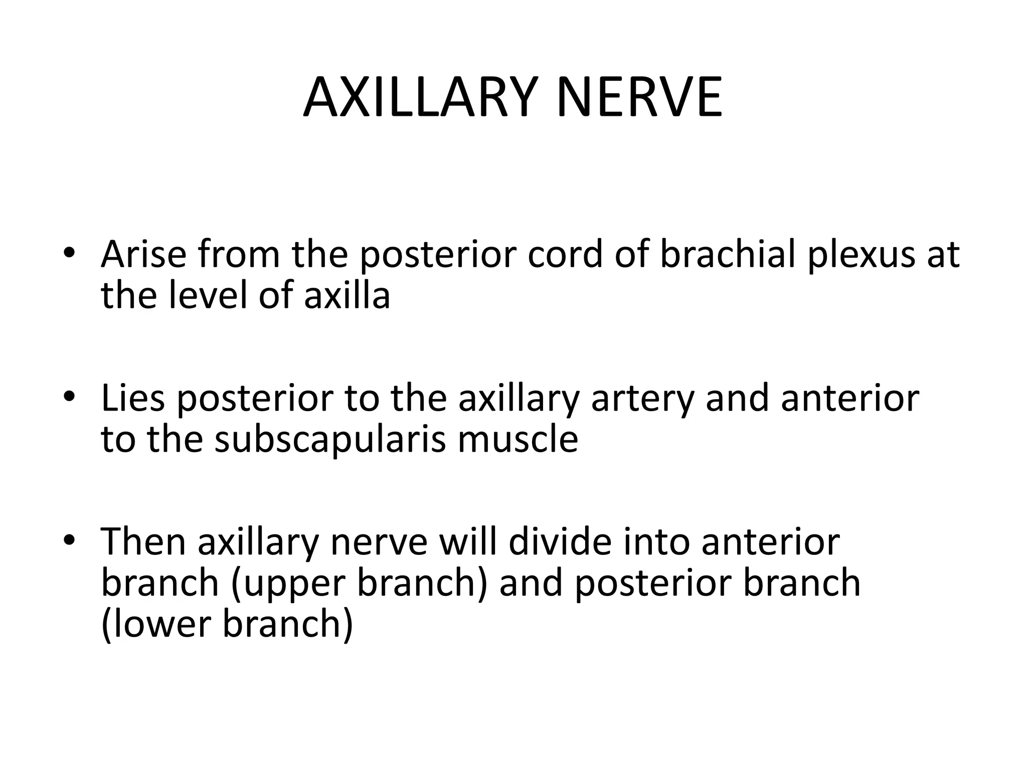 Peripheral nerve of the upper limb | PPTX