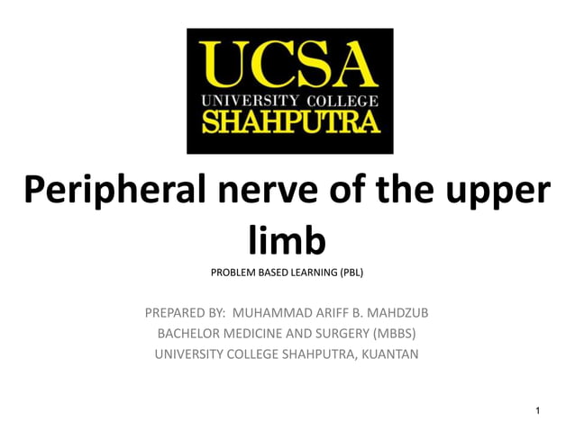 Peripheral nerve of the upper limb | PPTX | Death, Injury, or Military ...