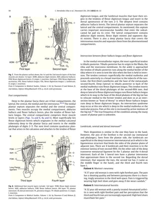 S1699258X12002434foot and ankle treatment.pdf
