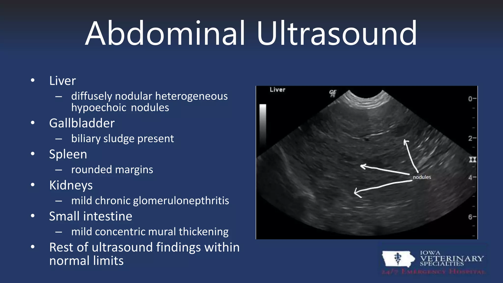 Laparoscopic Liver Biopsies | PPT