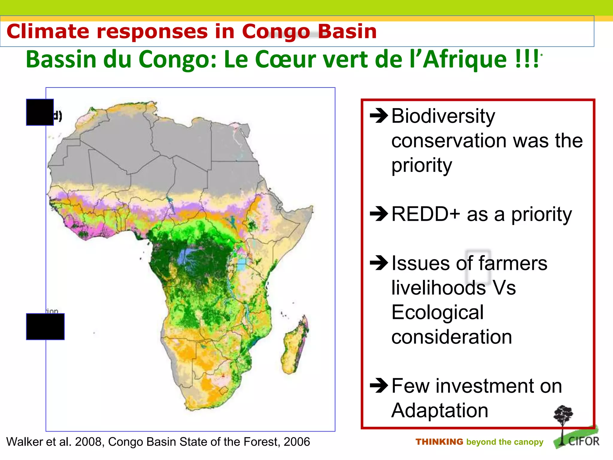 Potential of Bamboo for Climate Change adaptation in Congo Basin | PPT