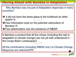 Potential of Bamboo for Climate Change adaptation in Congo Basin | PPT