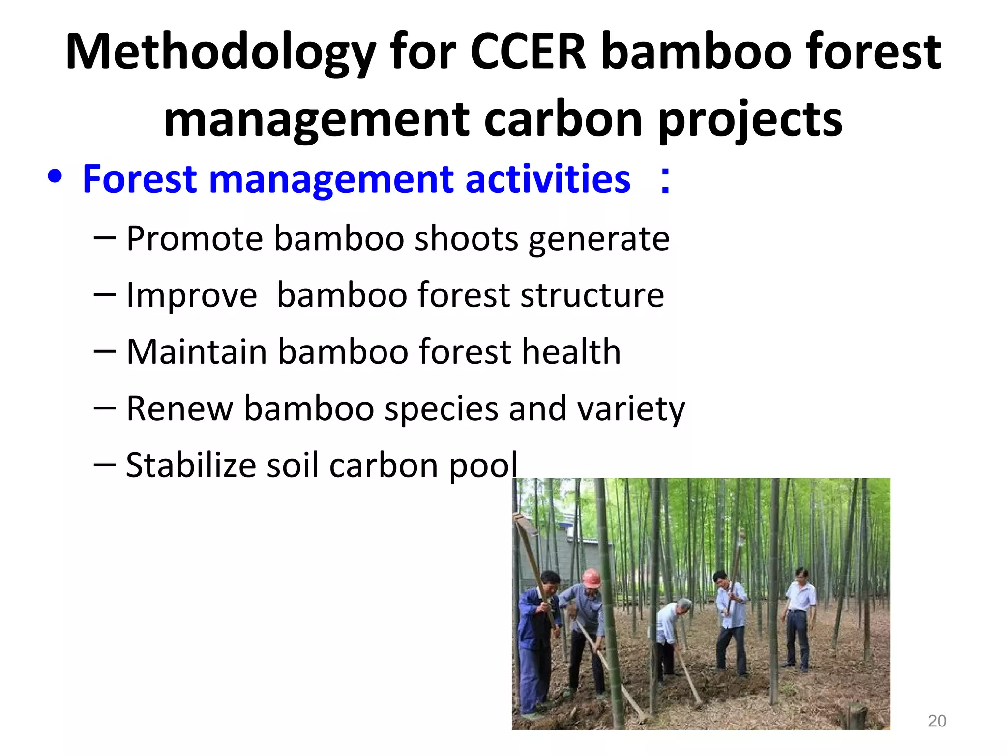 Forest and bamboo carbon methodologies and project practices in China | PPT