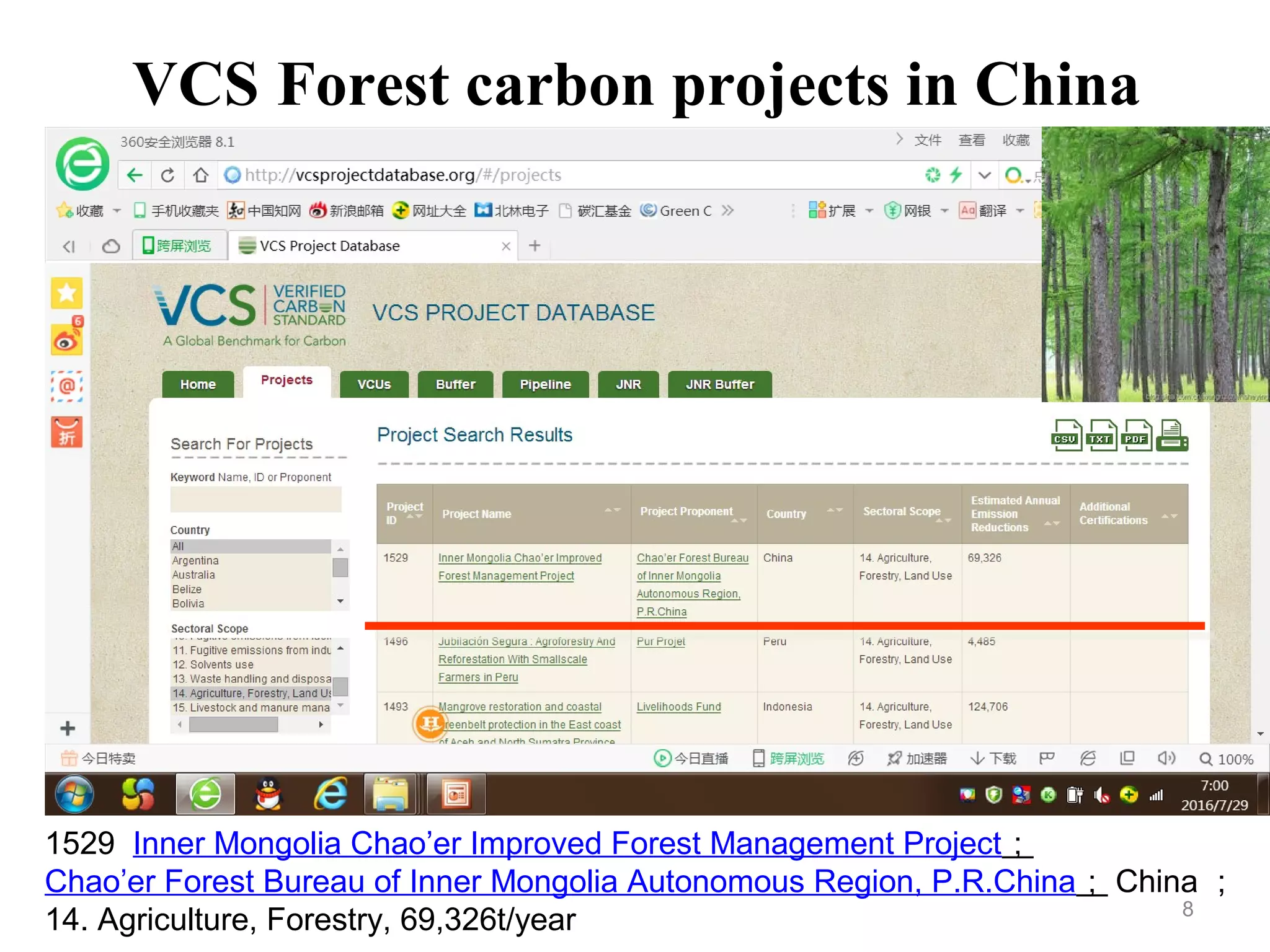 Forest and bamboo carbon methodologies and project practices in China | PPT