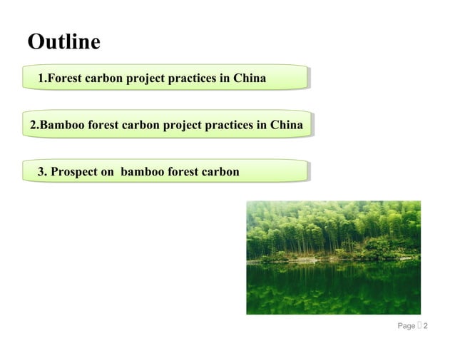 Forest and bamboo carbon methodologies and project practices in China | PPT
