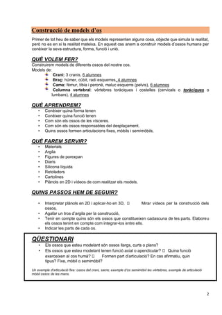 S1 guia de construcció dels ossos del cos | PDF