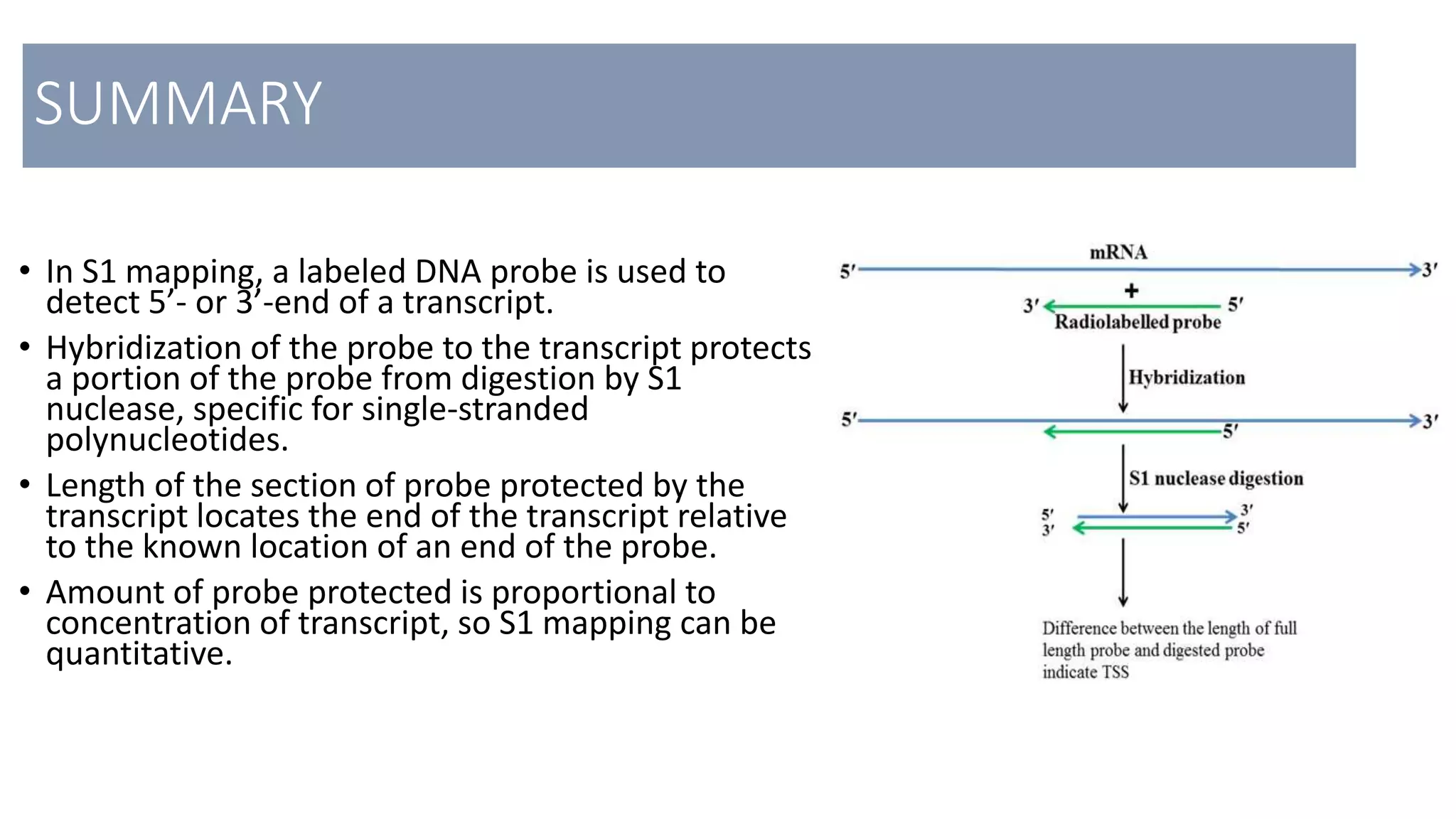 S1 Mapping | PPTX