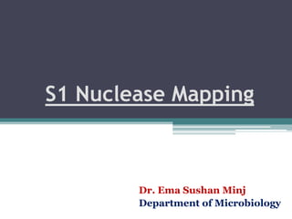 S1 Nuclease Mapping | PPTX