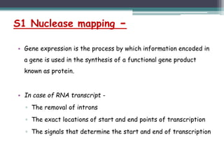 S1 Nuclease Mapping | PPTX