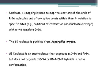 S1 Nuclease Mapping | PPTX